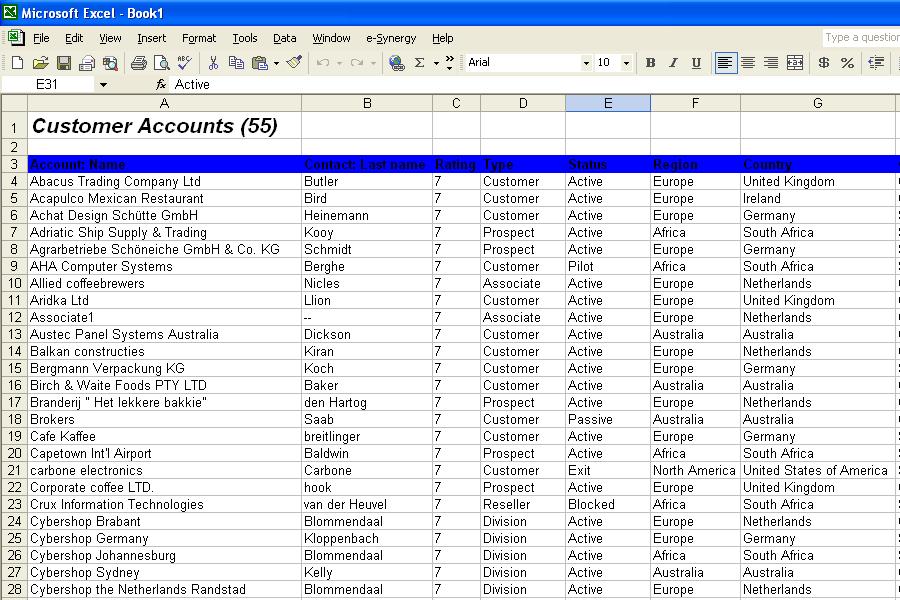 Using the e-Synergy Excel Add-in